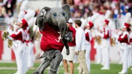 Why Does Alabama Use an Elephant as a Mascot - Equality Mag